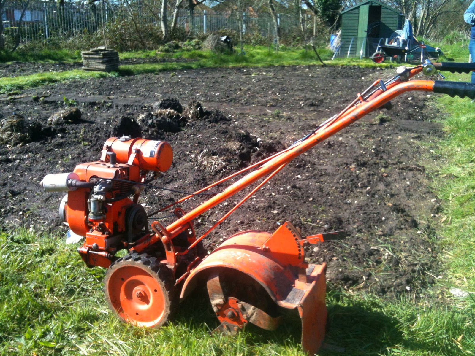 An overgrown allotment versus a bad back: Our New Howard Rotavator in ...
