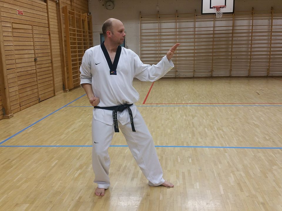 Traditional Taekwondo Ramblings: Taekwondo "Blocks"