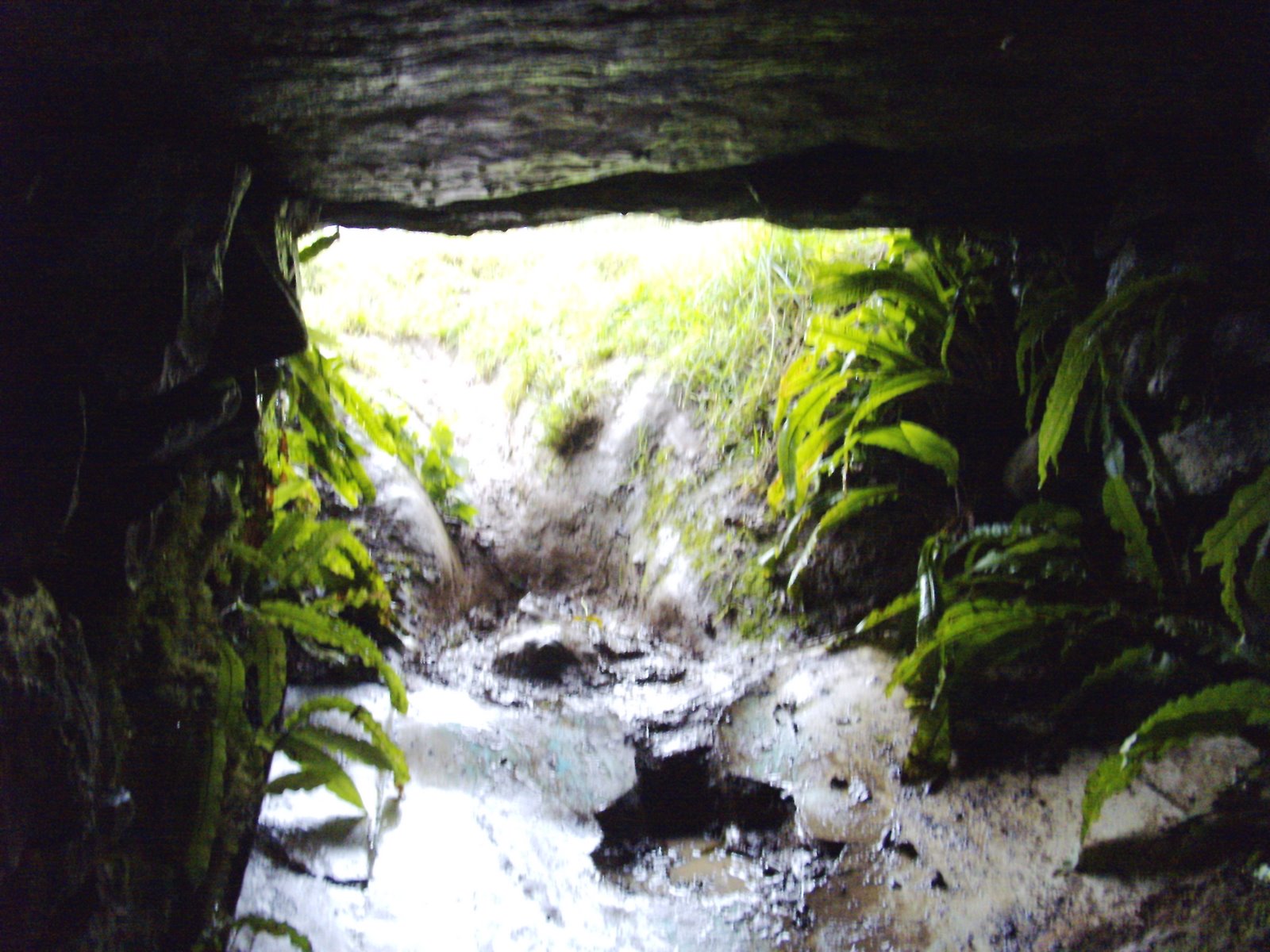 SilentOwl: Oweynagat. The Cave of The Cats. Part One.