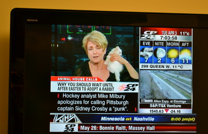 Cynful Musings: Behind the Scenes