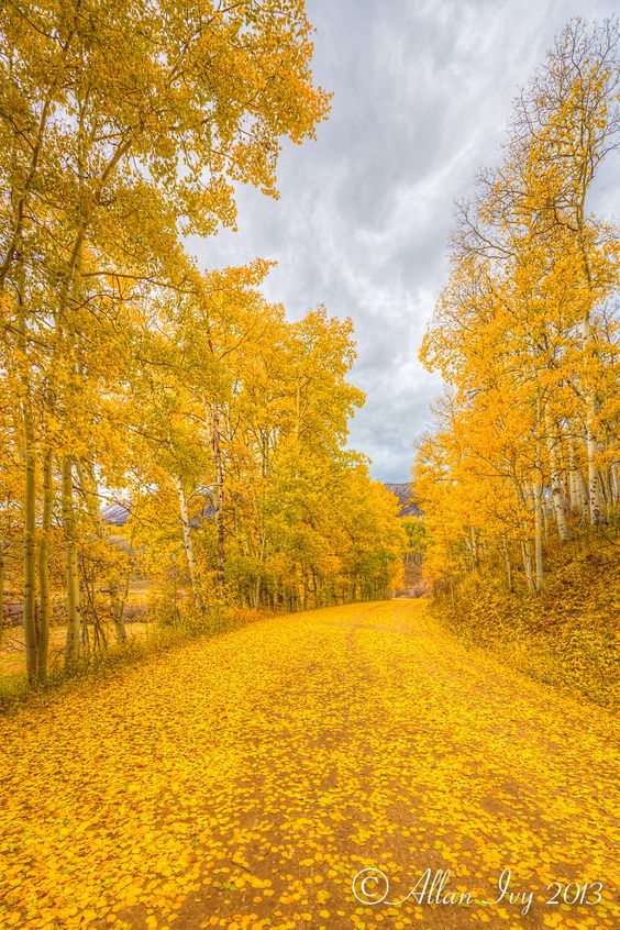 Yellow Road Ohio Pass, Colorado - Lovely Colorado, United States