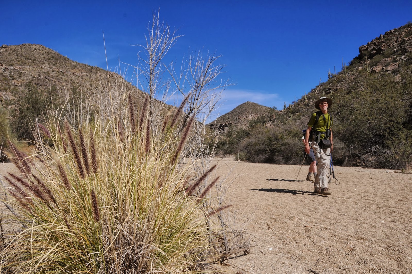 Arizona Hiking: WILD BURRO TRAIL