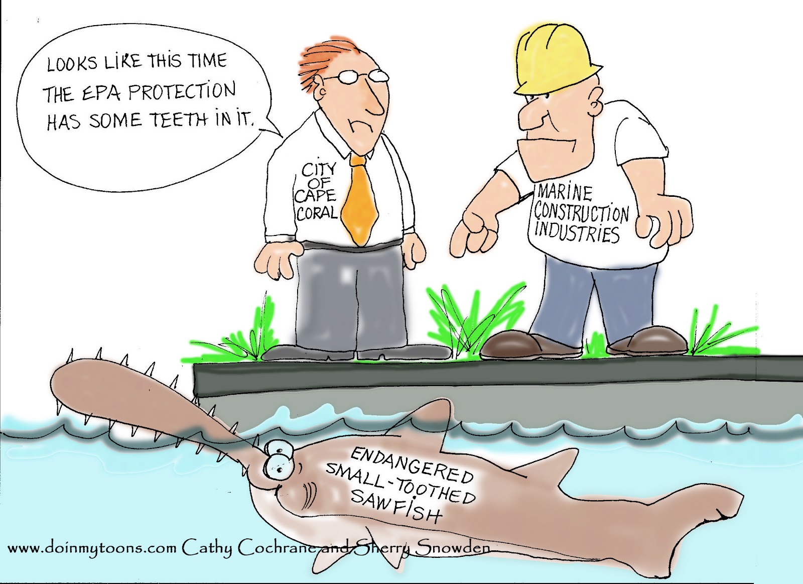 DoinMyToons: Small Toothed Sawfish