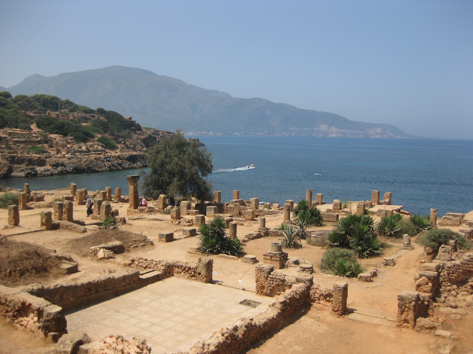 I'm a Cool Dentist: Tipaza