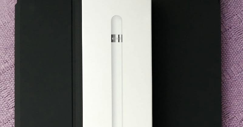 Ligia Patch: FUNDA IPAD