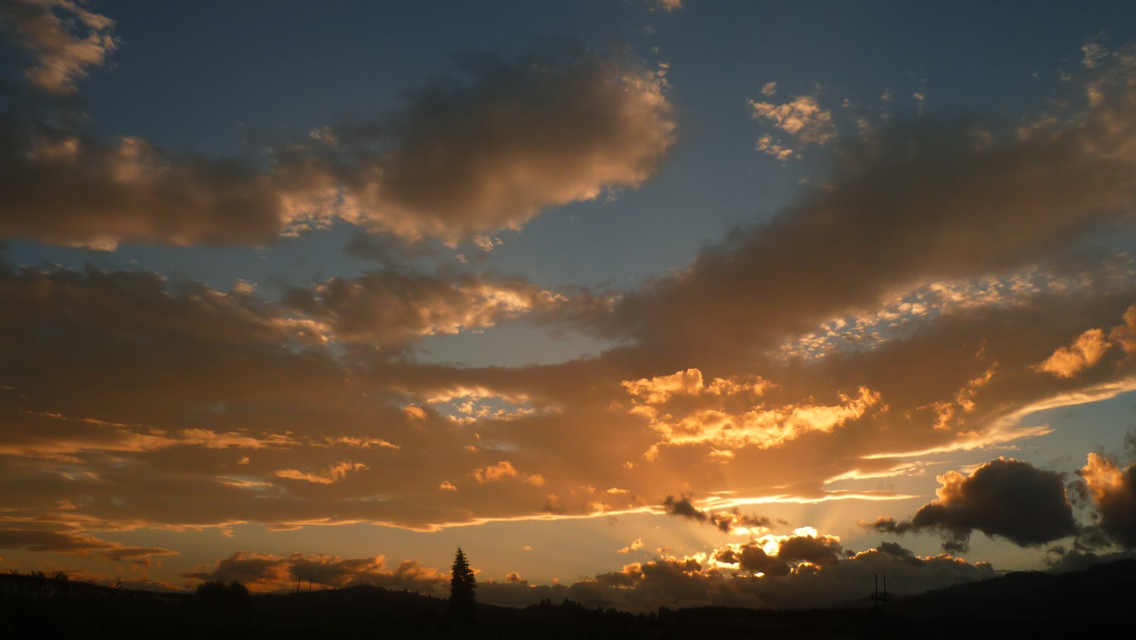 New-Zealand Adventure: Tondre des lamas à Cissy bay