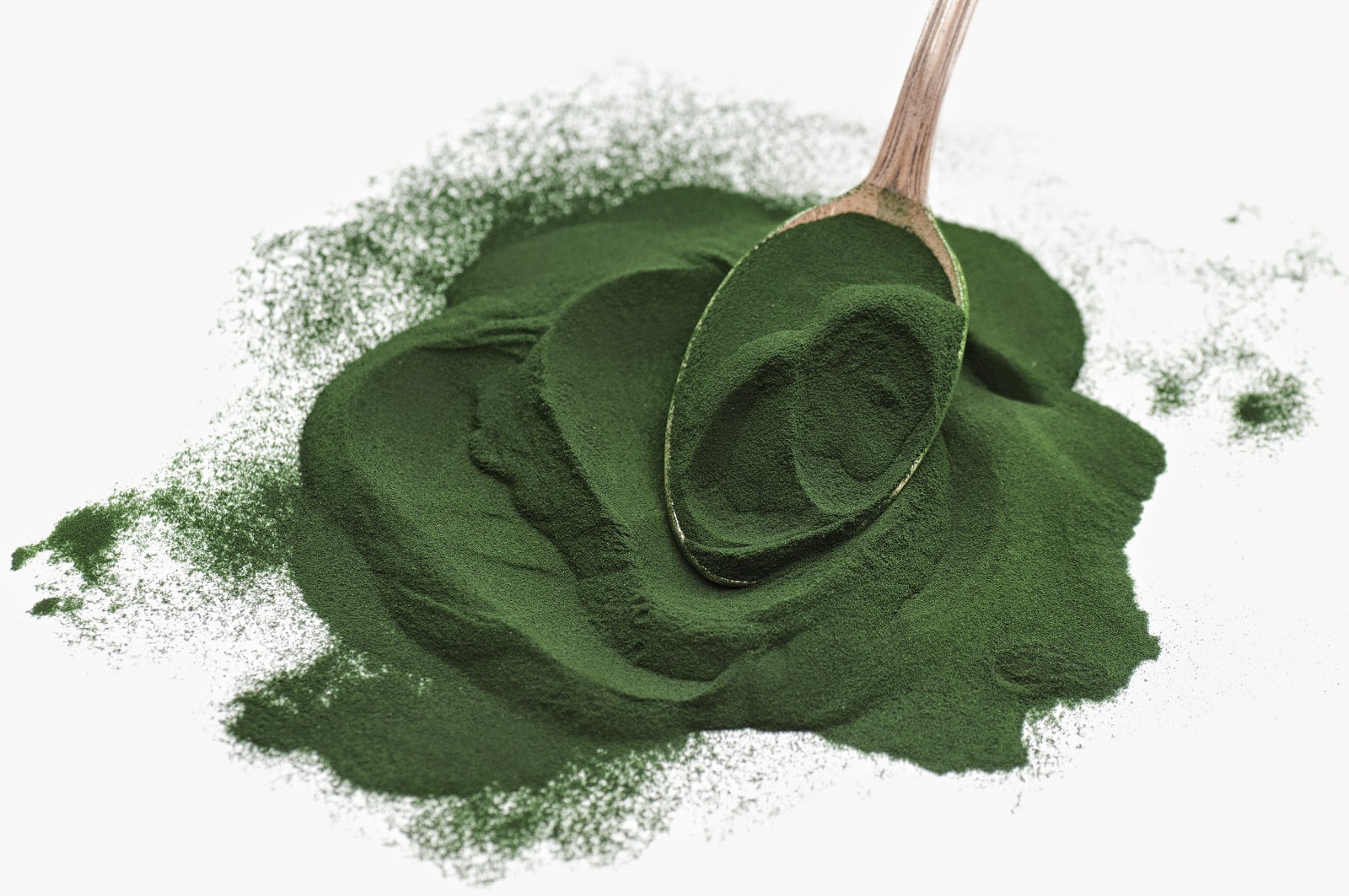 Greenmouth Greenmind Green lifestyle: Powerful Plant Based Protein