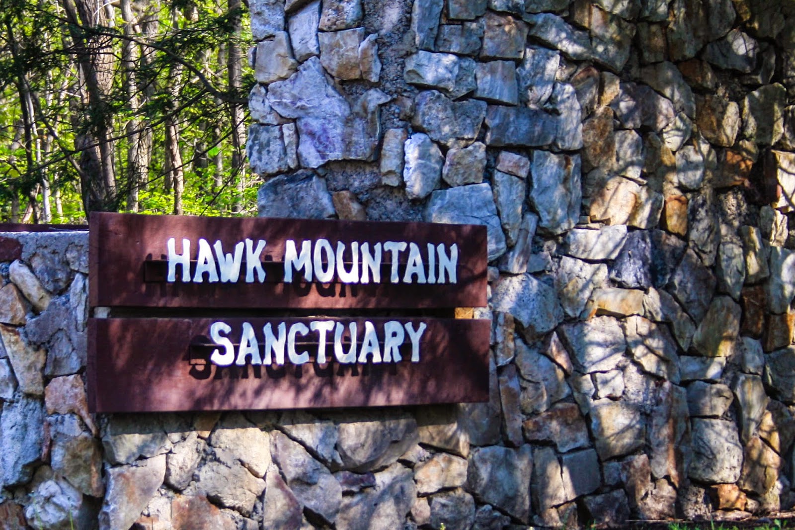 Natural Mid-Atlantic : Hawk Mountain Sanctuary - River of Rocks Circuit ...