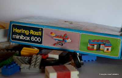 Ana Caldatto : Blocos Hering-Rasti