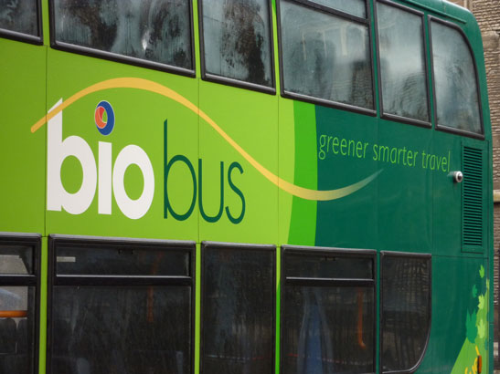 A Transport of Delight: My First Busway Experience