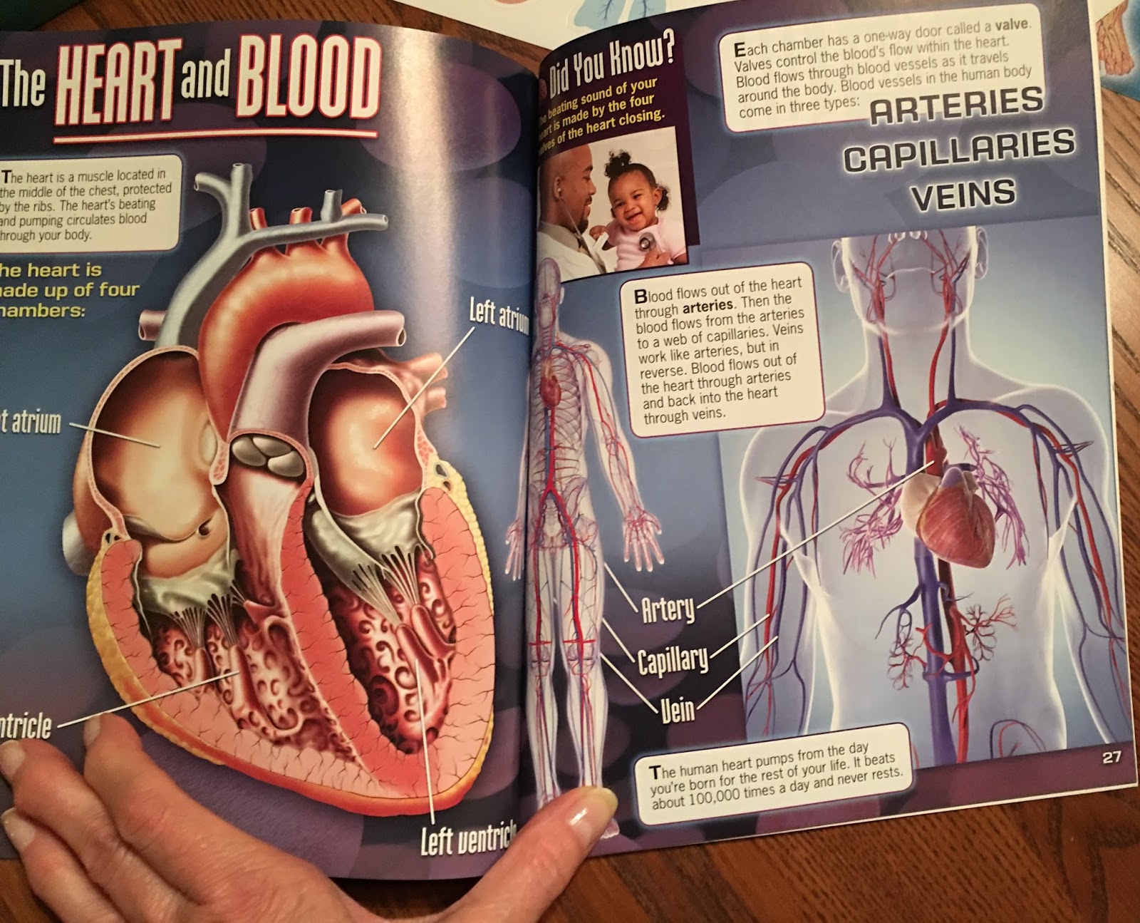 Chat with Vera: Adventures in Science: The Human Body [Review ...