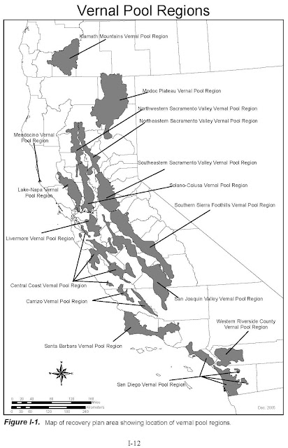 Bio227-3: Vernal Pool Fairy Shrimp