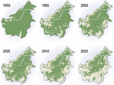 Deforestation: Case study in Malaysia: Causes