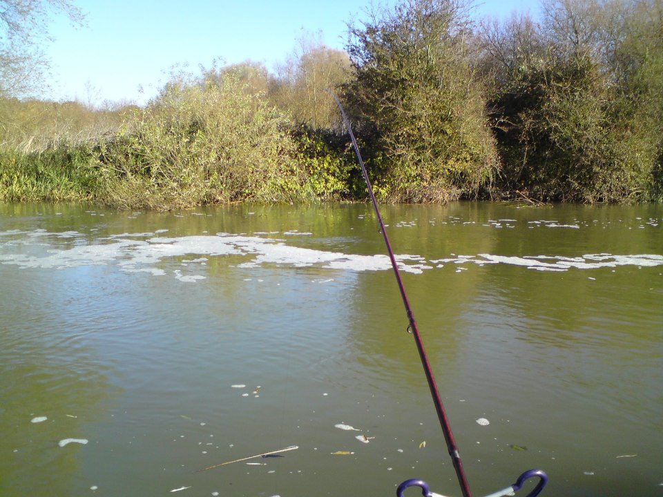 River Angler: Sunday 11th November -River Nene Oundle