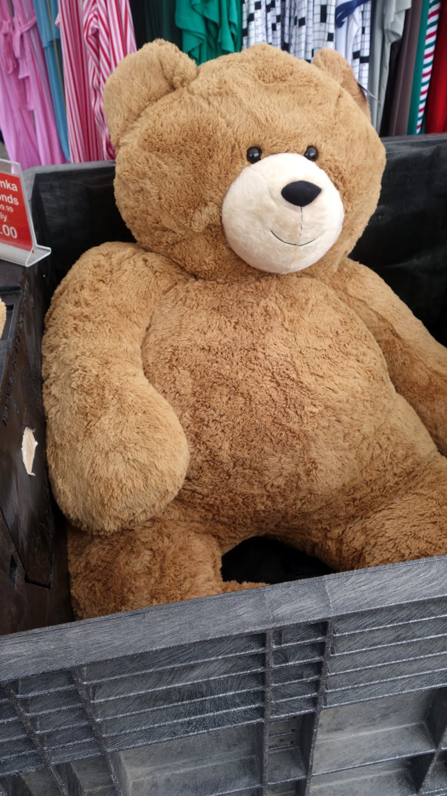 Rocky Top Ramblers: Vermont Teddy Bear in Shelburne, VT