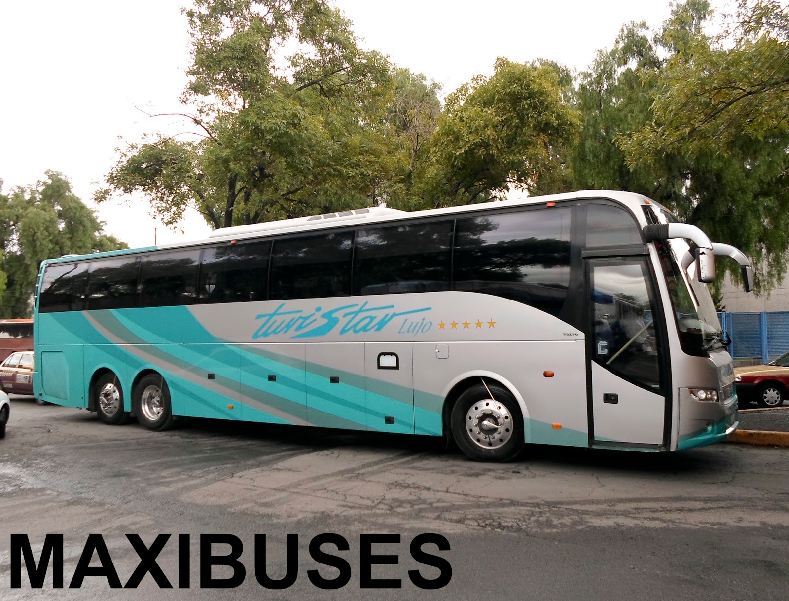 MAXIBUSES: TURISTAR LUJO
