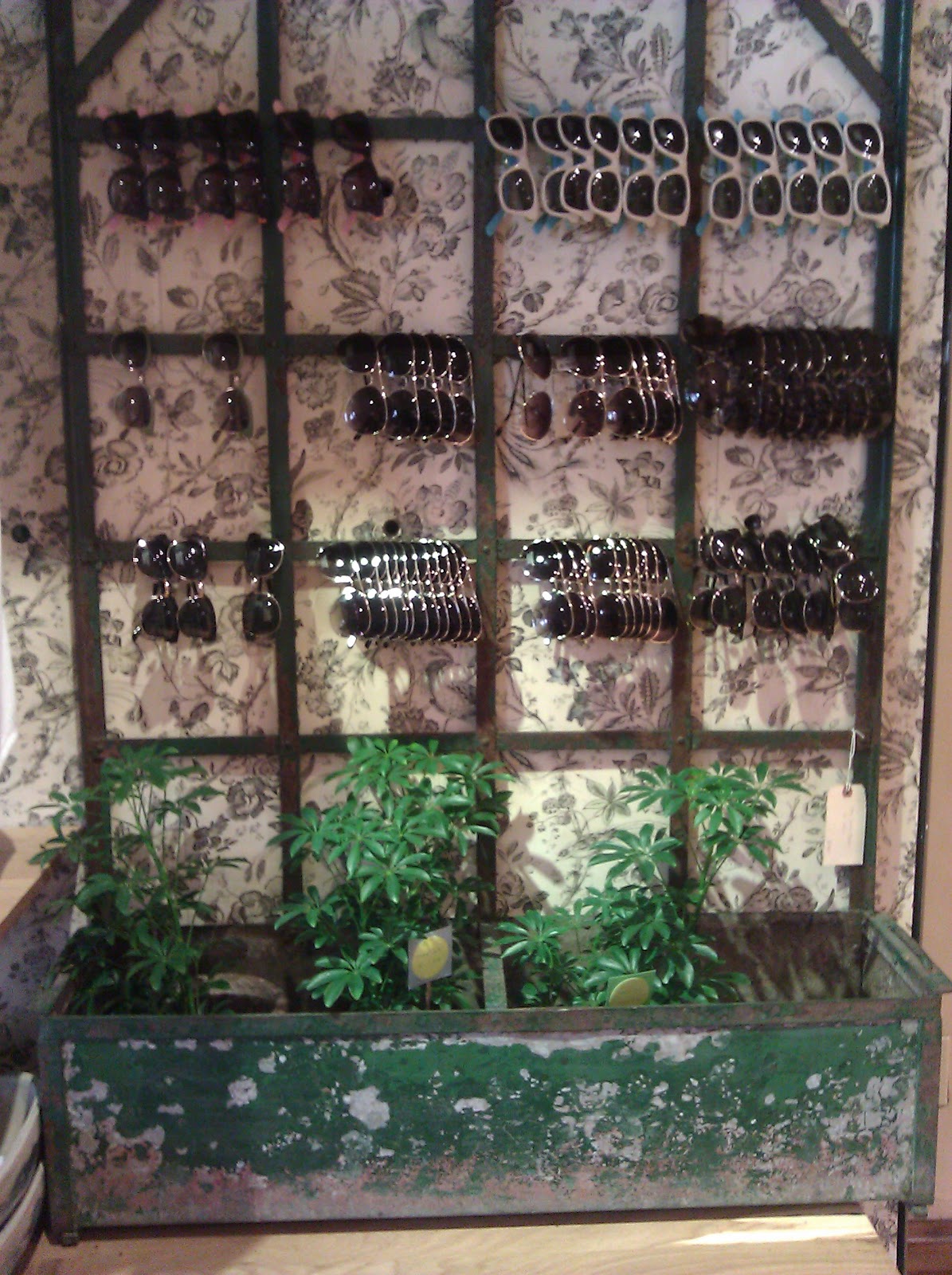 Creatively Compelled: Visual Merchandising Goes Green