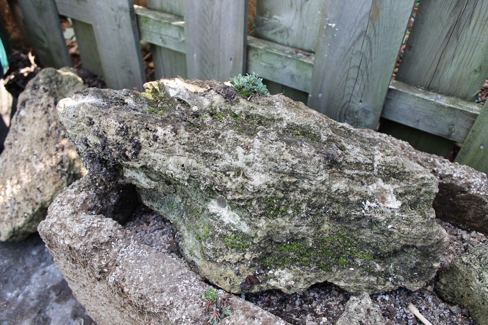 BARROW WORKS: Planting Tufa in a Hypertufa trough