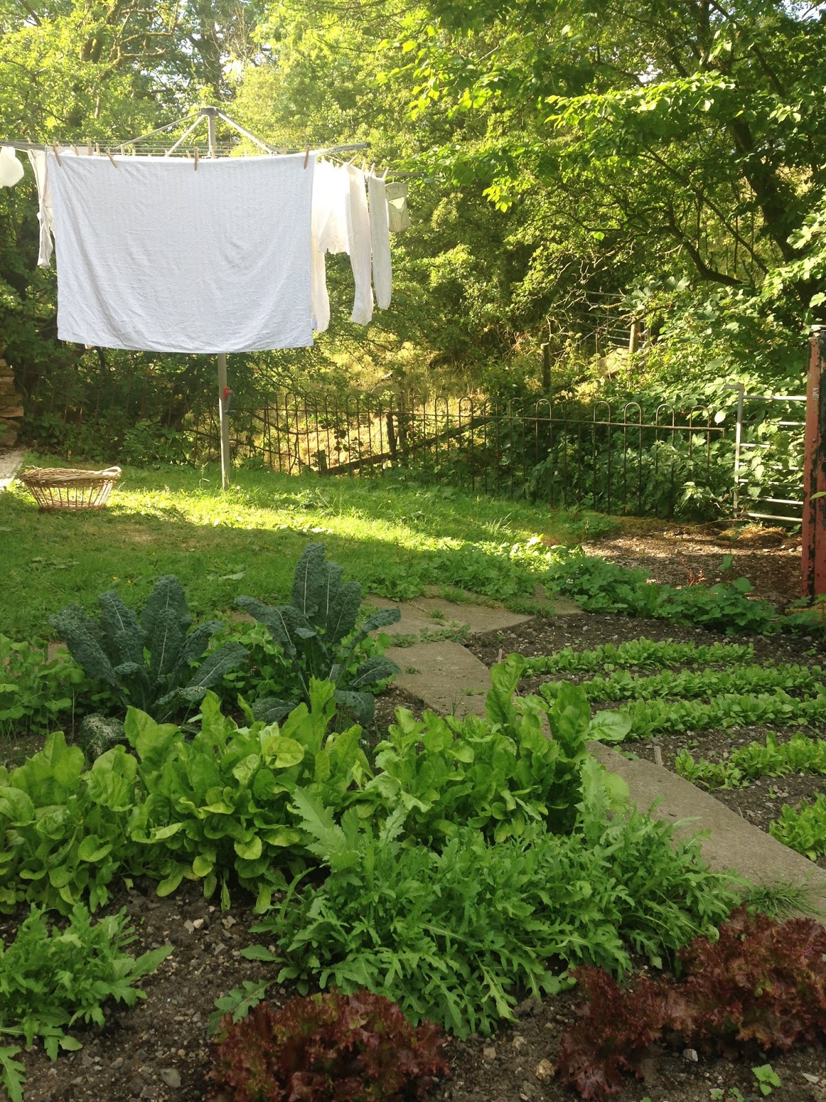 Letters to Nigel Slater: The Pleasure of Eating Outside in the Garden