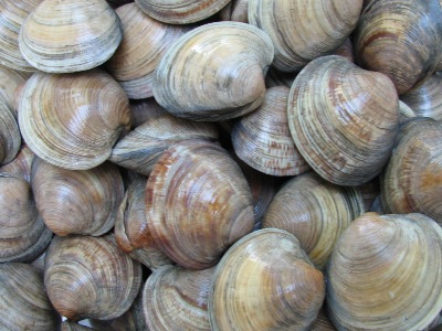 Seafood News: NOAA Aquaculture Initiative