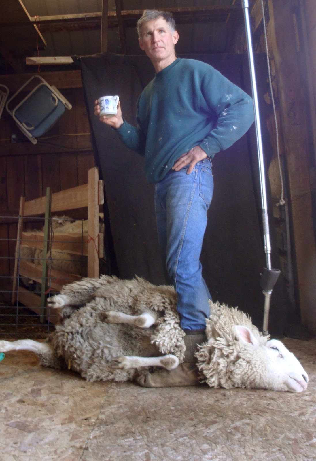 Found.Foraged.Formed.: Sheep Shearing