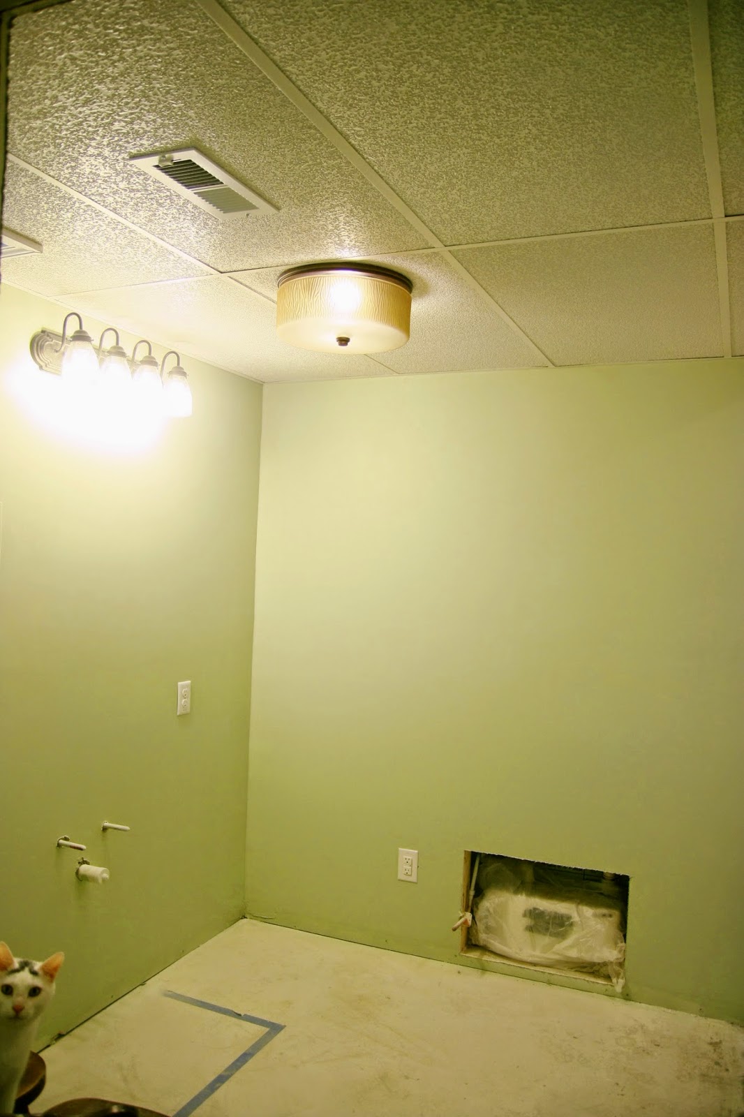 Over on Dover: A Ceiling Over Our Heads