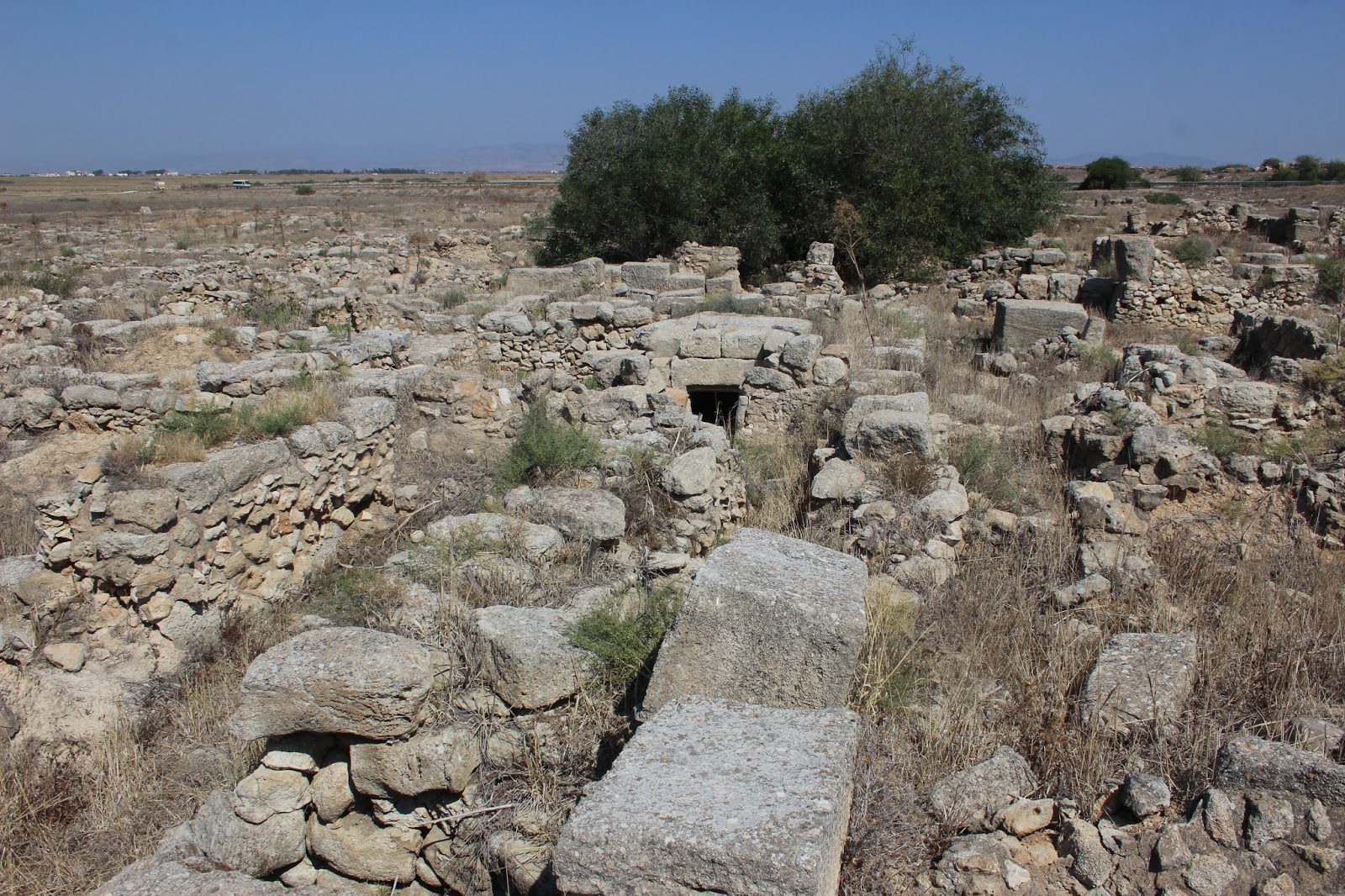 Biodiversity of Cyprus by NGO Protection of the Natural Heritage and ...