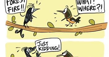 Green Humour: The Flame of the Forest