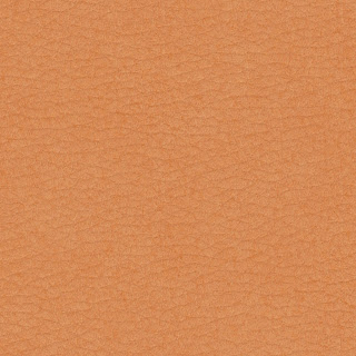 HIGH RESOLUTION TEXTURES: Tileable Human Skin Texture #1