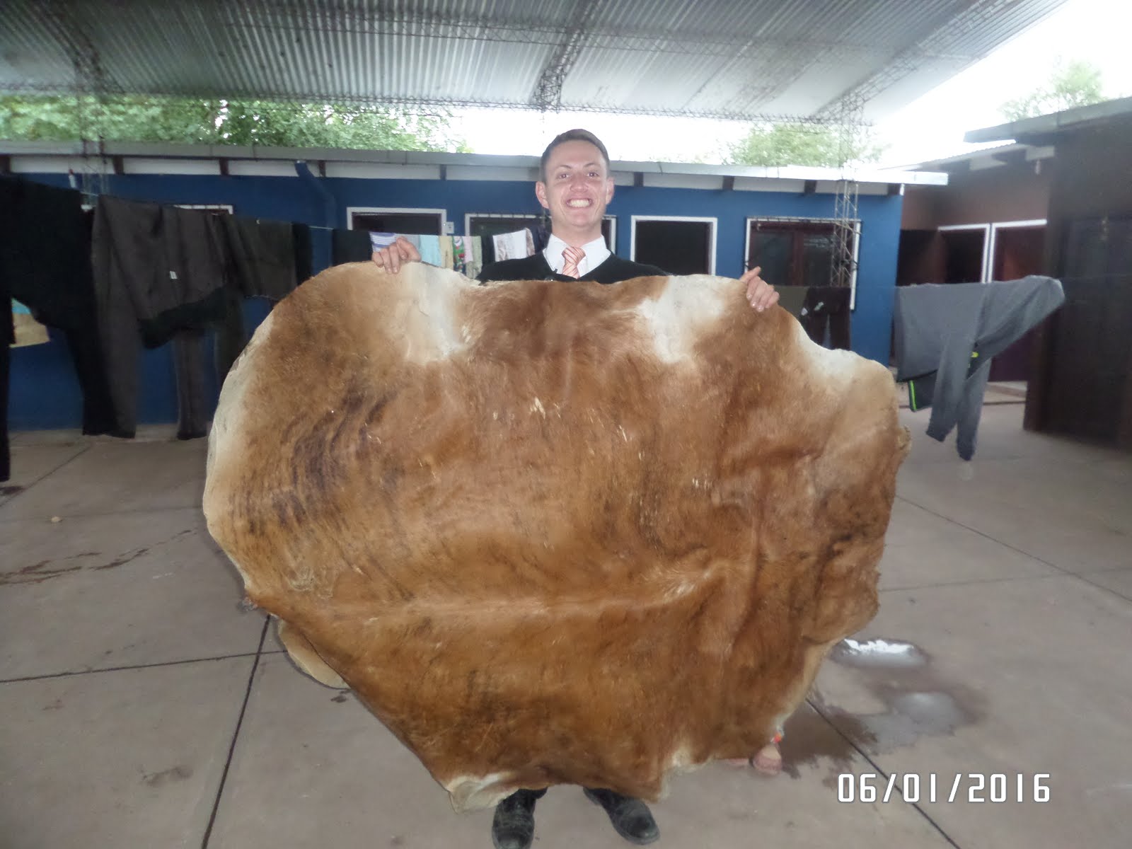 ELDER JONATHAN TRACY'S BOLIVIAN MISSION BLOG: WEEK 90: COW SKINS AND ...