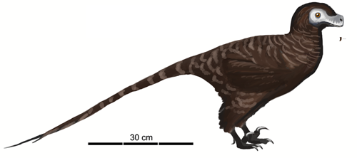 DinoGoss: Field Guide Rejects: Zapsalis