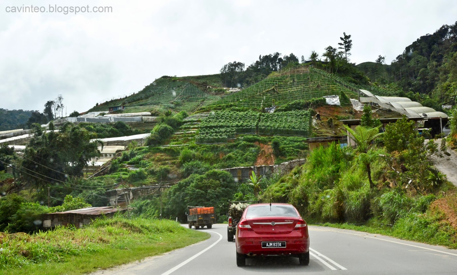 Entree Kibbles: Day Three (Up to the Highlands): Ipoh - Cameron ...