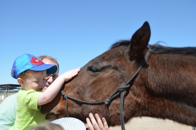 7 Favorite Outing Shots - Eclectic Momsense