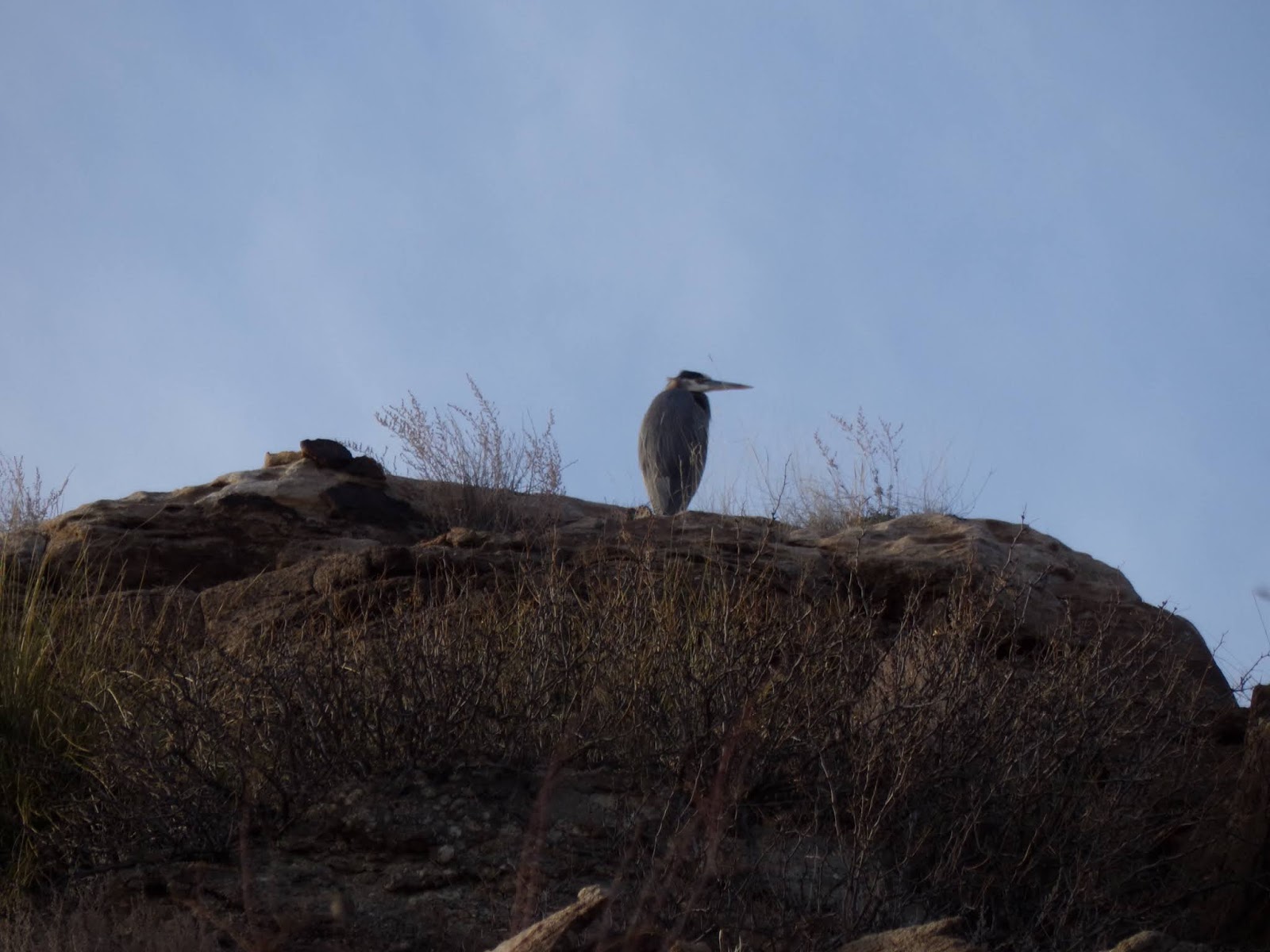 Sumner Lake State Park, Fort Sumner, New Mexico