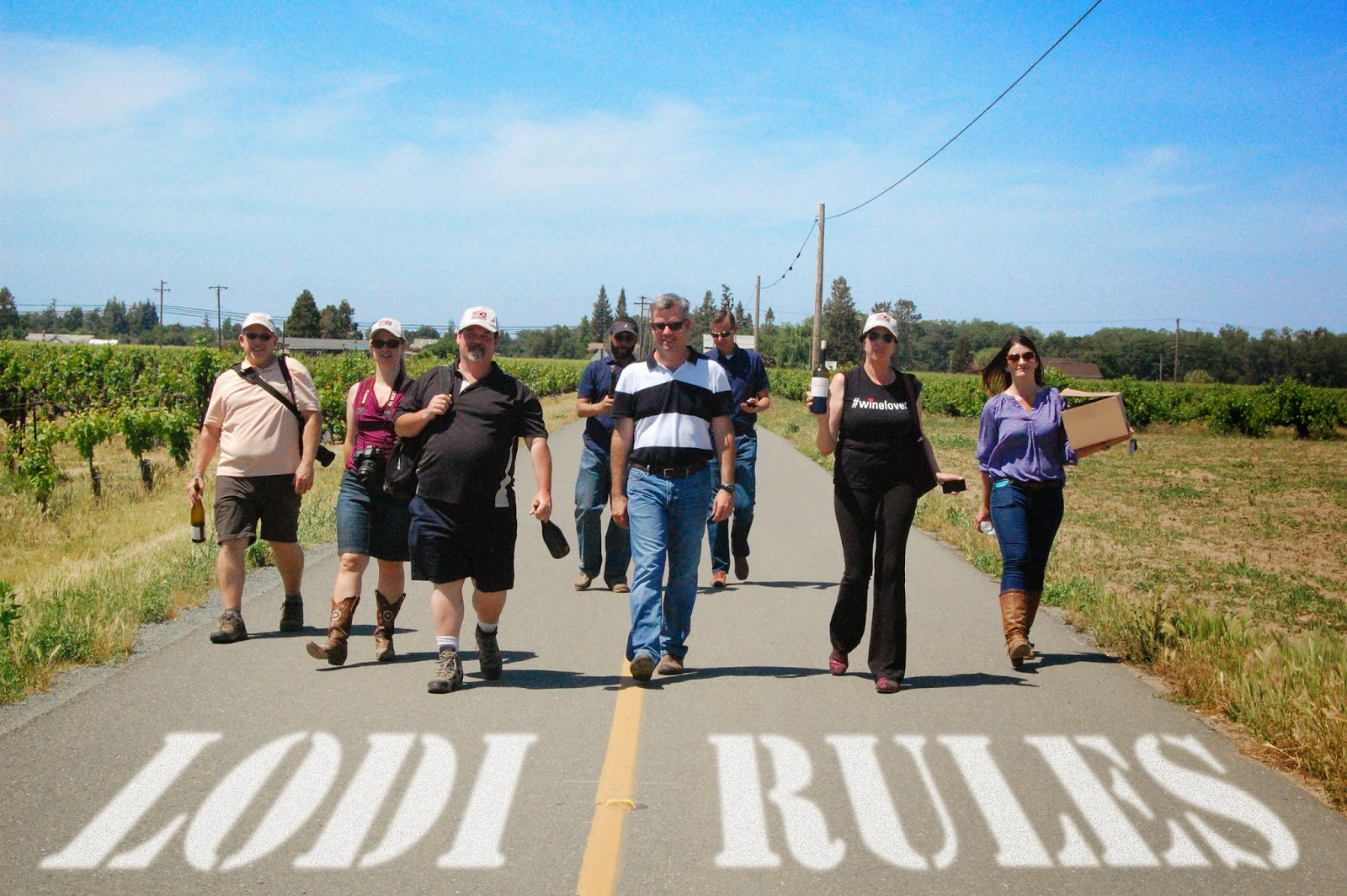 Benito's Wine Reviews: Lodi Rules