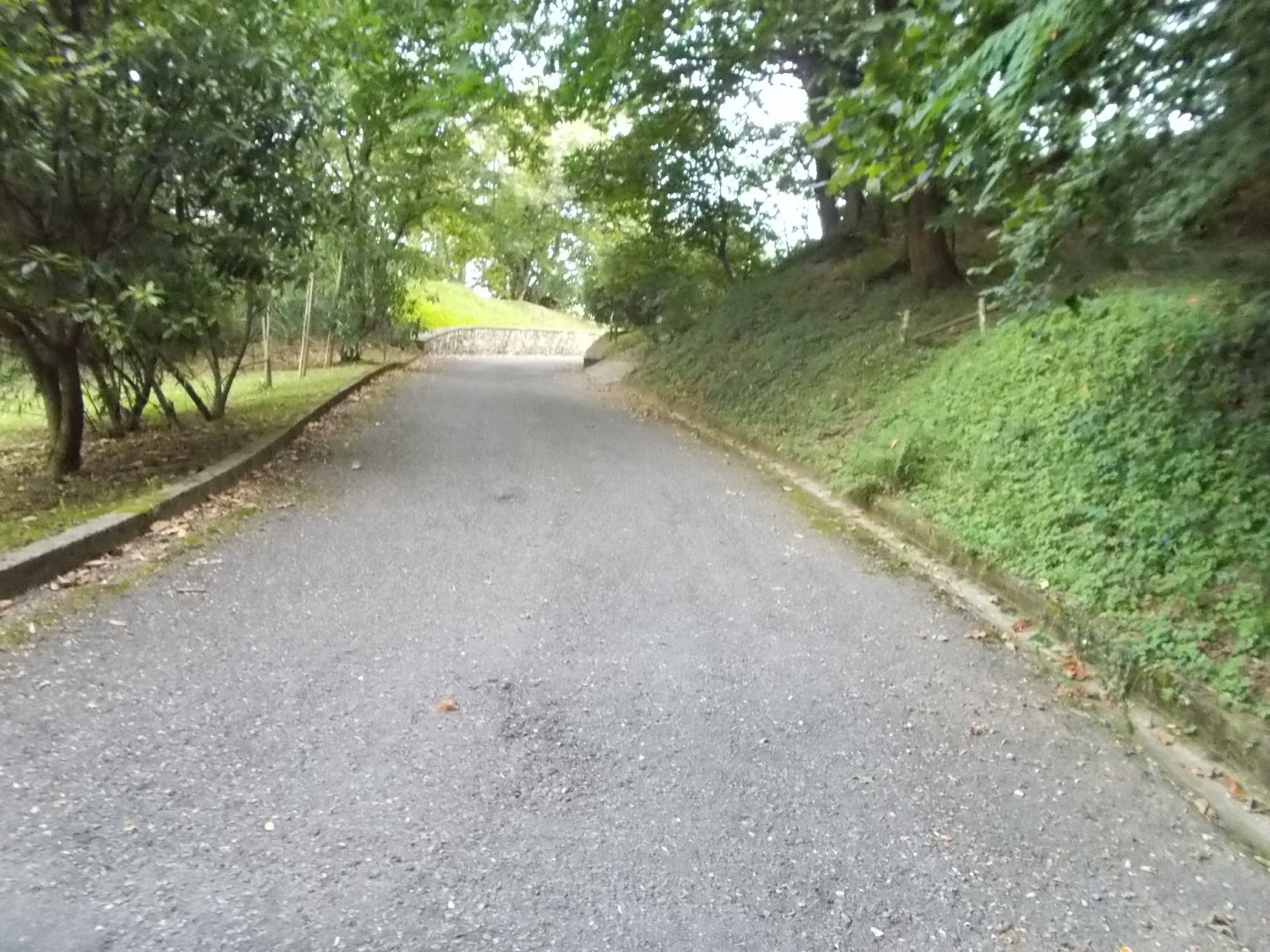 VIVENDO SALENDO: CARATTERISTICHE TECNICHE DELLA SALITA ALLA TENUTA "LA ...