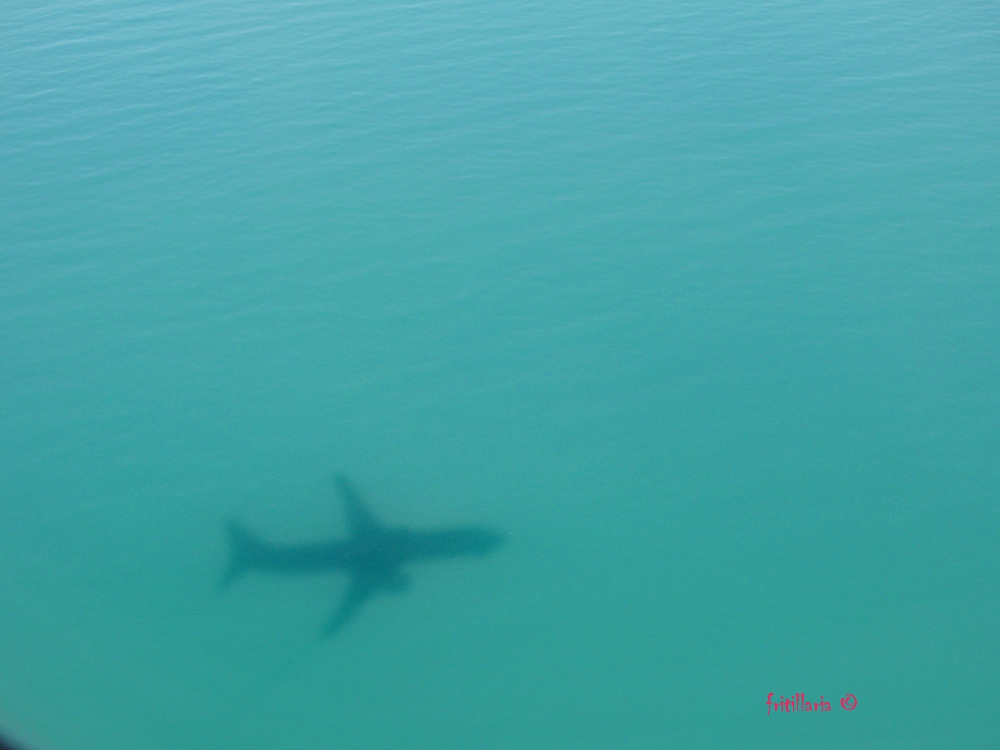 Fritillaria In Turkey: The most spectacular landing in Turkey: flying ...