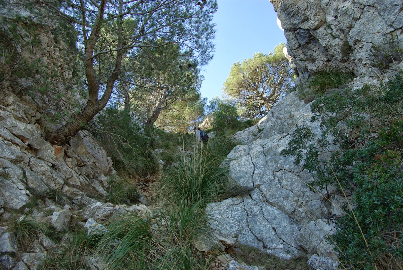 TRESQUES PER TRAMUNTANA: ES CASTELLOT