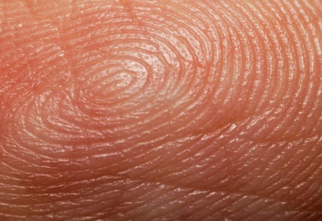 Lương Đức Mến: Dấu Vân tay và lịch sử nghiên cứu ứng dụng