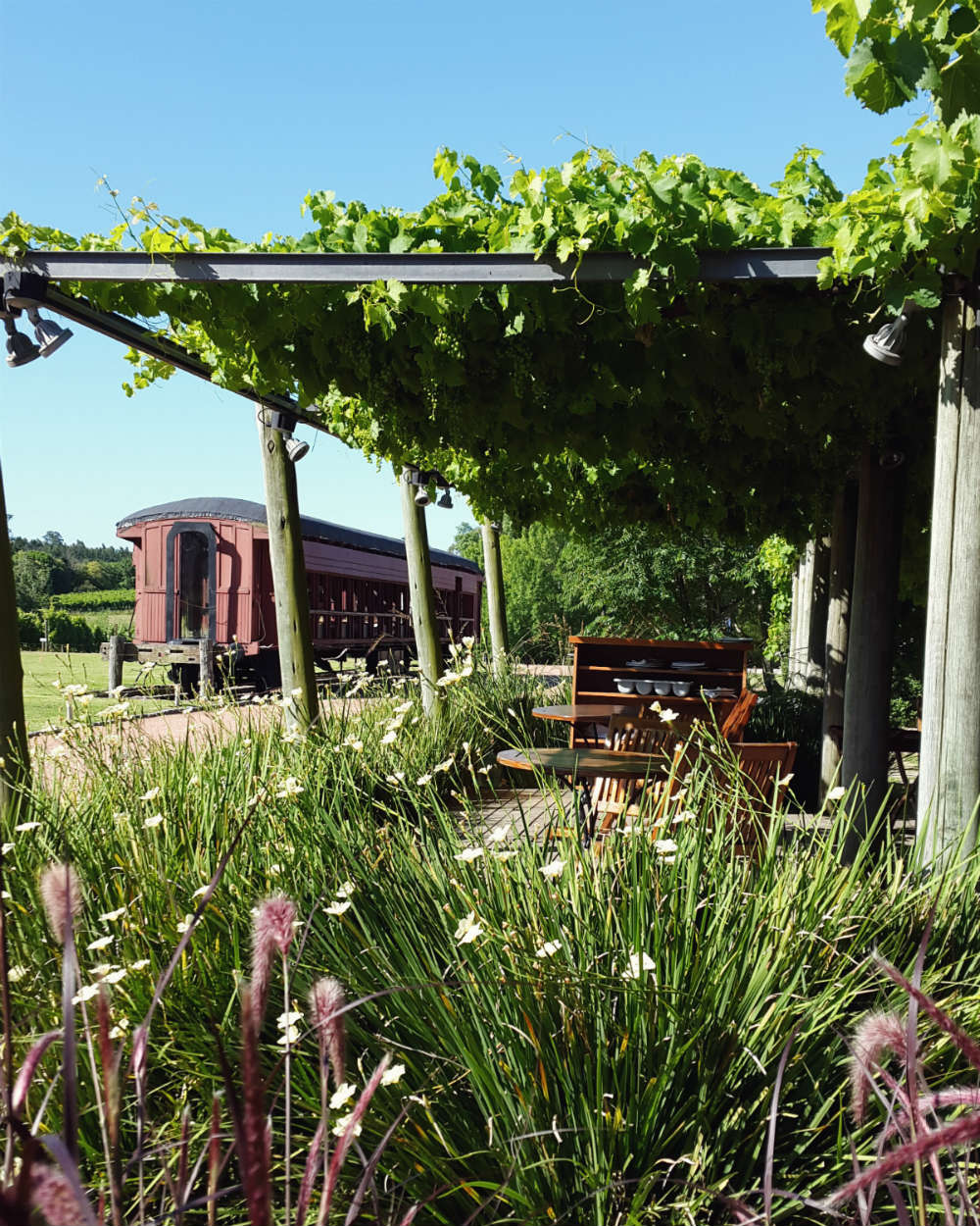 Visita e almoço na Bodega Bouza - Uruguai por uma brasileira