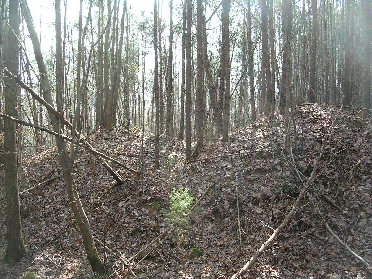 The Civil War Picket: Rocky Face Ridge: Civil War Trust announces ...