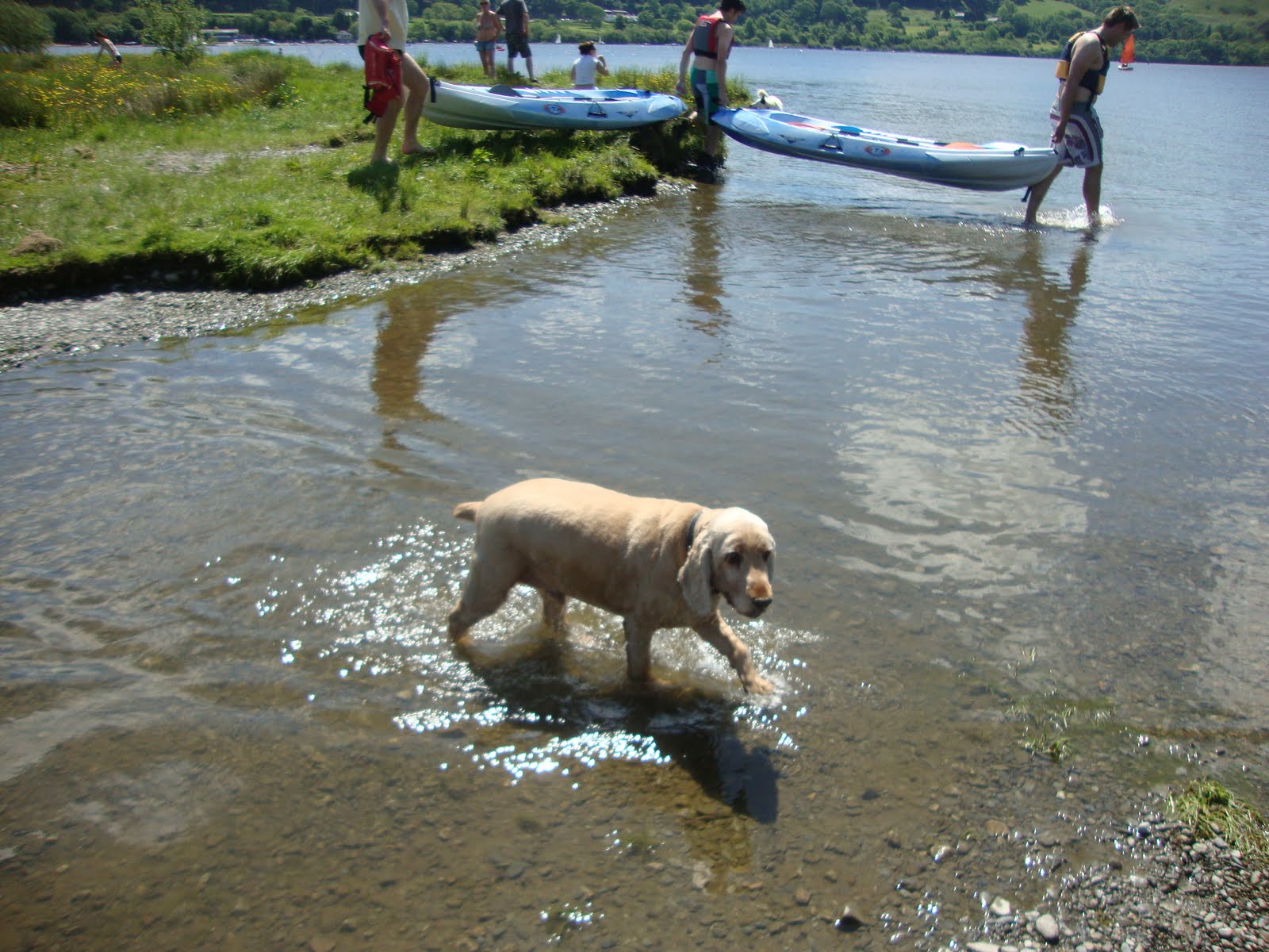Clutter-Chaos Aaron&co: Sailing ........... Bala Lake