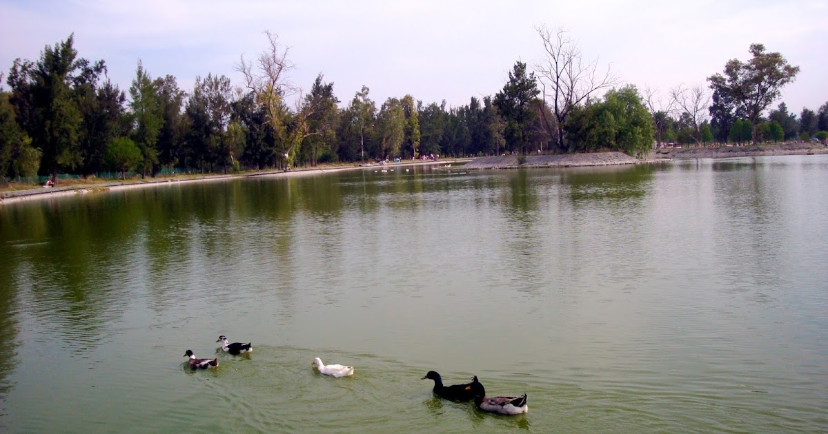 Historia del Bosque de San Juan de Aragón