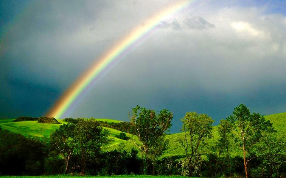 Afirmando El Corazón: LLUEVA, TRUENE O RELAMPAGUEE