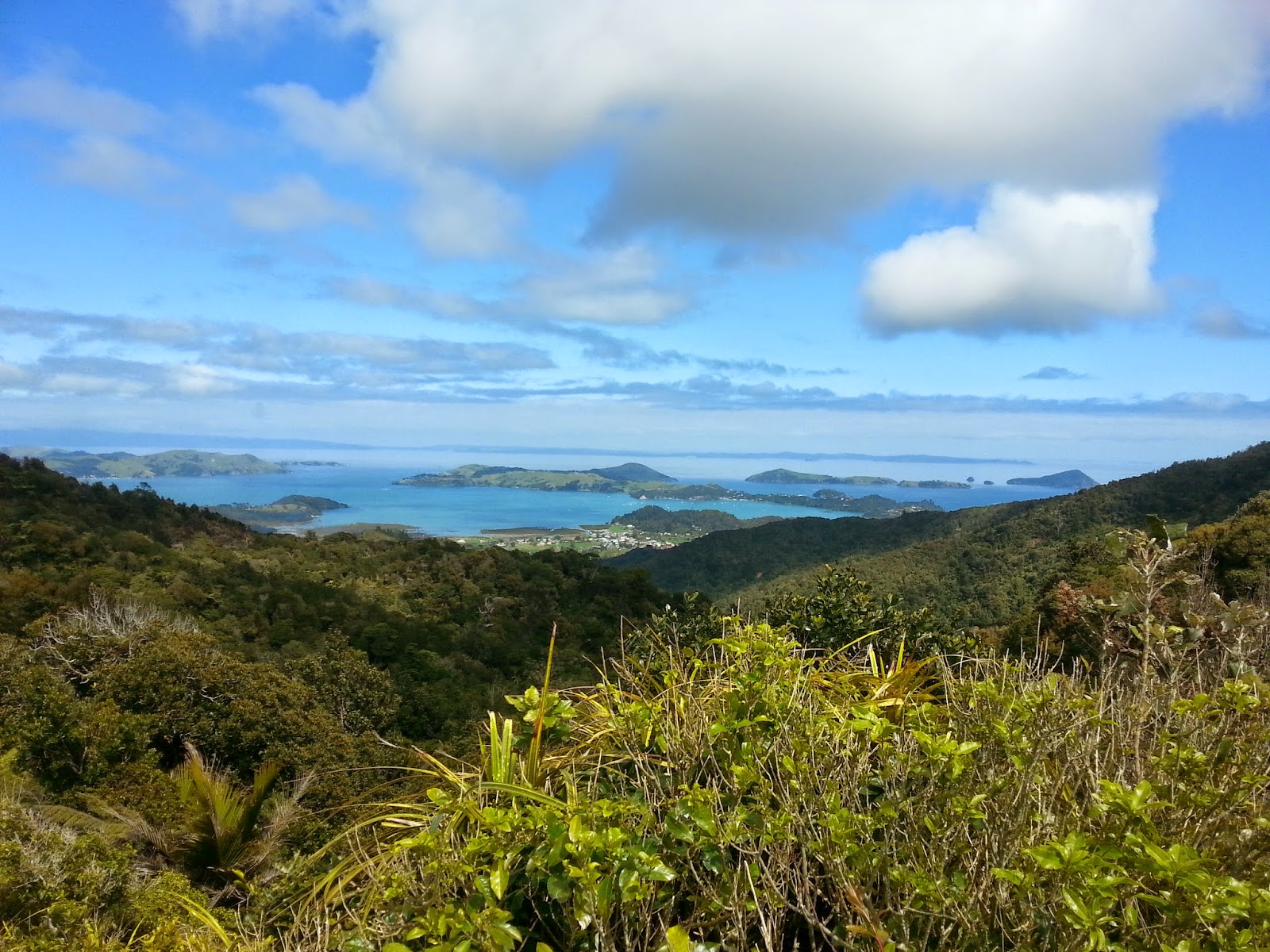 The New Zealand Immigration Experience: Stunning Coromandel Loop just ...