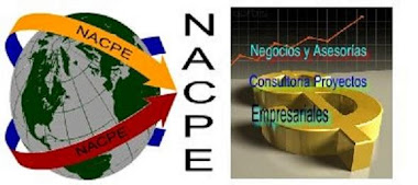 NACPE (Negocios Asesorias Consultoria Proyectos Empresariales)