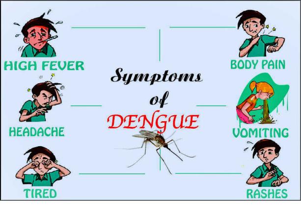 NATURAL TIPS AND REMEDIES FOR TREATING DENGUE FEVER - Natural Fitness ...