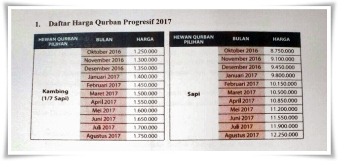 Jual kambing qurban 2017 jakarta - Jual Hewan Qurban 2017