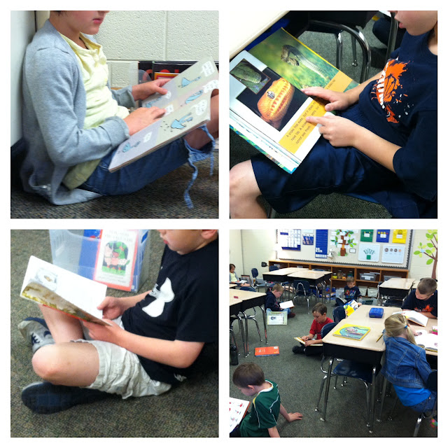 School Is a Happy Place: The Daily Five: Launching Read to Self