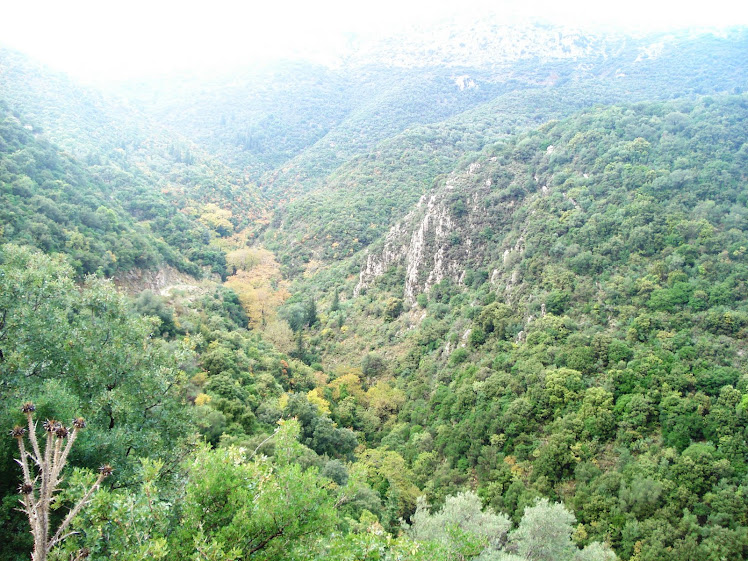 haradiatika lefkada: Νυδρί: Ανοίγει σήμερα το βράδυ το μεζεδοπωλείο ...